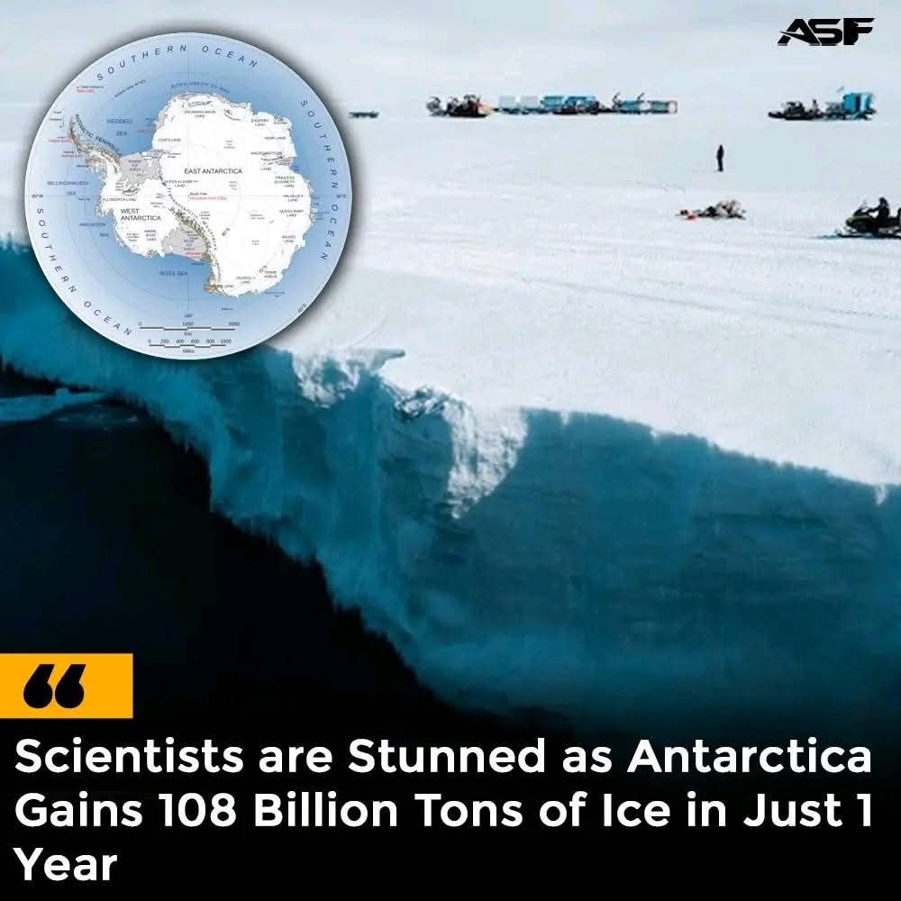 Archive — MediaVault